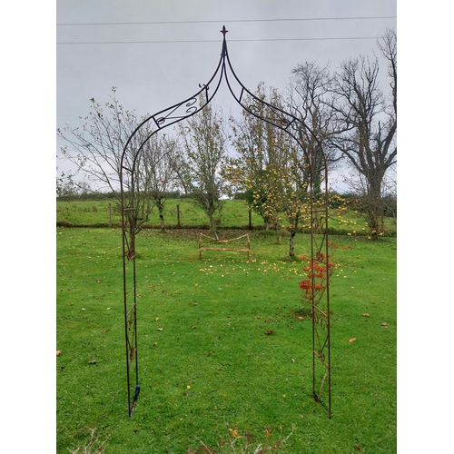 Good quality wrought iron rose arch {272 cm H x 141 cm W x 35 cm D}.