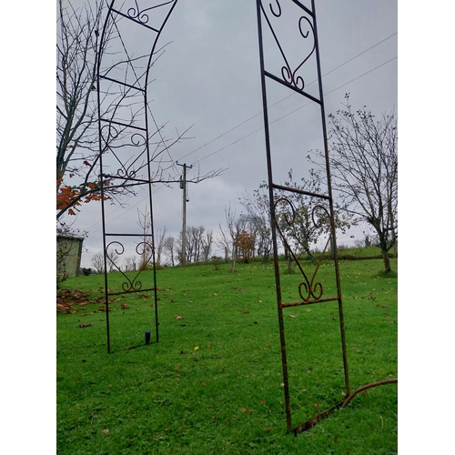 Good quality wrought iron rose arch {272 cm H x 141 cm W x 35 cm D}.