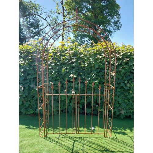 Wrought iron rose arch with gate. {200 cm H x 142 cm W x 34 cm D].