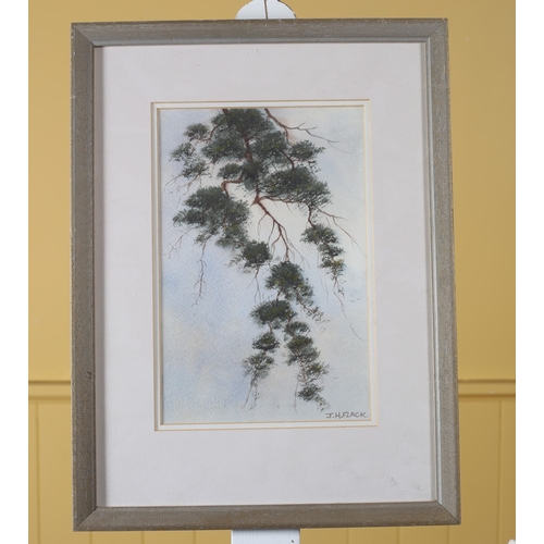 A COLLECTION OF VARIOUS PICTURES to include Kathleen M. Boyd A Fresh ...