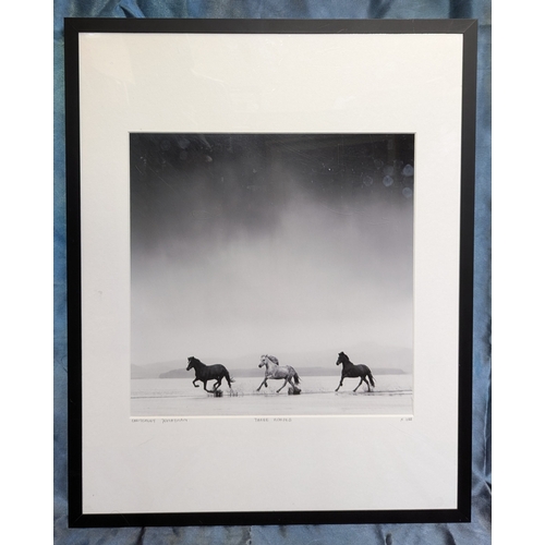 Three Horses - A Jonathan Critchley Art Photograph