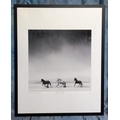 Three Horses - A Jonathan Critchley Art Photograph