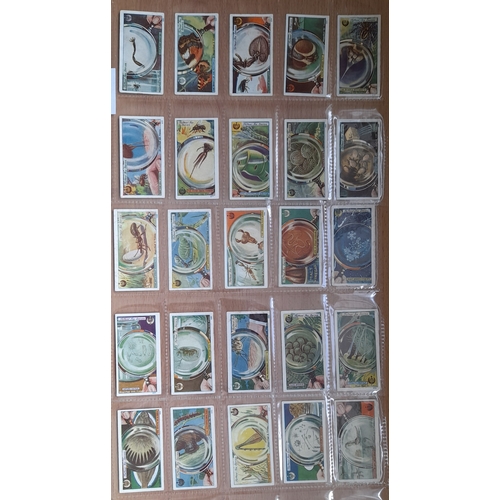 Typhoo Tea - Common Objects Highly Magnified - 1925 - Full Set Of 25