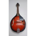 STAGG MANDOLIN