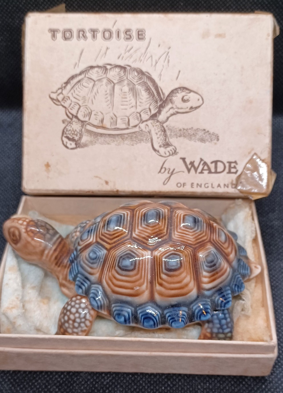 BOXED WADE TORTOISE