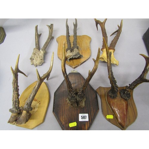DEER ANTLERS, a collection of 6 sets of vintage deer antlers, 2 loose ...