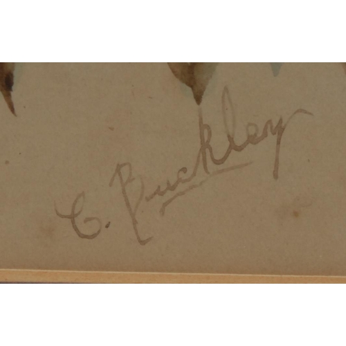 C Buckley A pair, Blossoming and Flowering Branches signed, watercolour ...