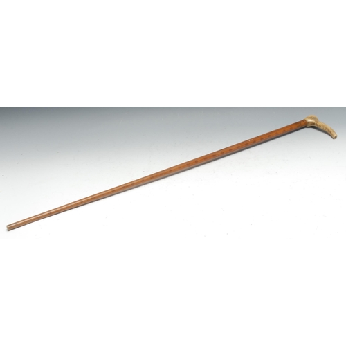 A late 19th/early 20th century walking/measuring stick, Loftus Maker ...