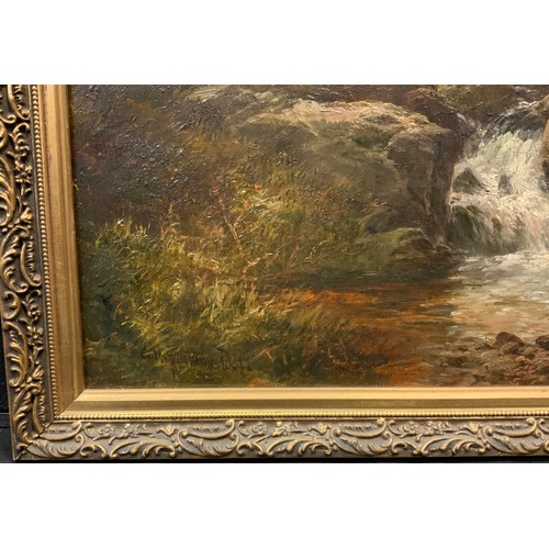 George Henry Jenkins (1843-1914) Moorland Stream, oil on canvas, 34cm x ...
