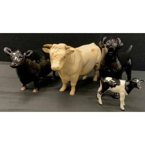 Beswick Limousin cow, 23cm long, Aberdeen Angus, 18cm long, Friesian ...