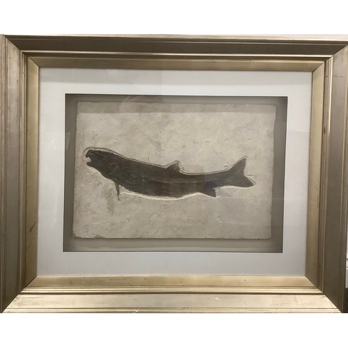 Natural History & Palaeontology - a prehistoric fish fossil cast, 44cm ...