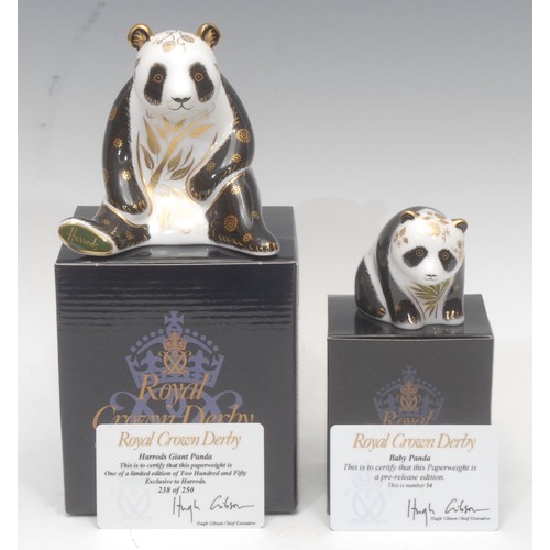 A Royal Crown Derby paperweight, Harrords Giant Panda, designed by Jane ...