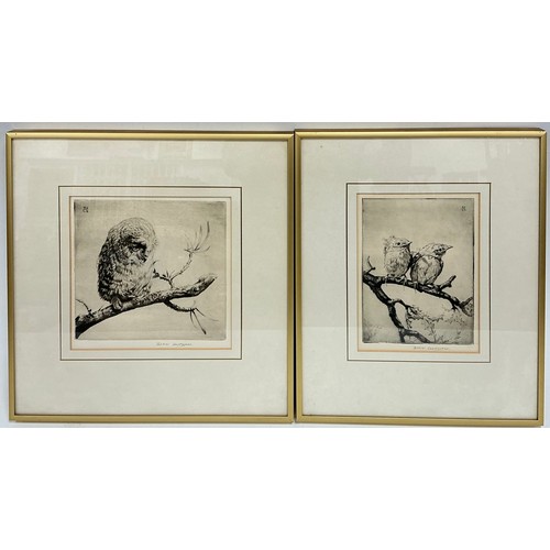 Peter N. Snodgrass A similar pair, an owlet, and pair of Robin ...