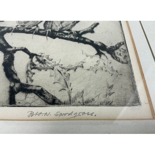 Peter N. Snodgrass A similar pair, an owlet, and pair of Robin ...
