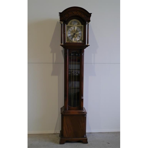 Modern Tempus Fugit grandfather clock - James Stuart, Armagh