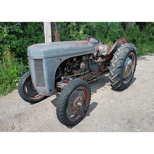 Ferguson TEC orchard tractor with finger bar mower. Runner
