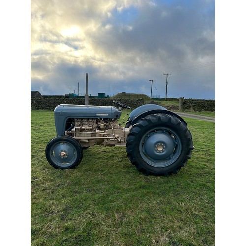 Ferguson 35 diesel tractor. 1957. Grey/gold, new liners and pistons ...