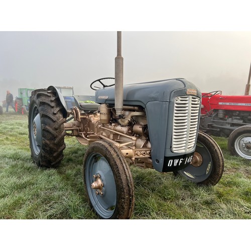 Ferguson 35 diesel tractor. 1957. Grey/gold, new liners and pistons ...