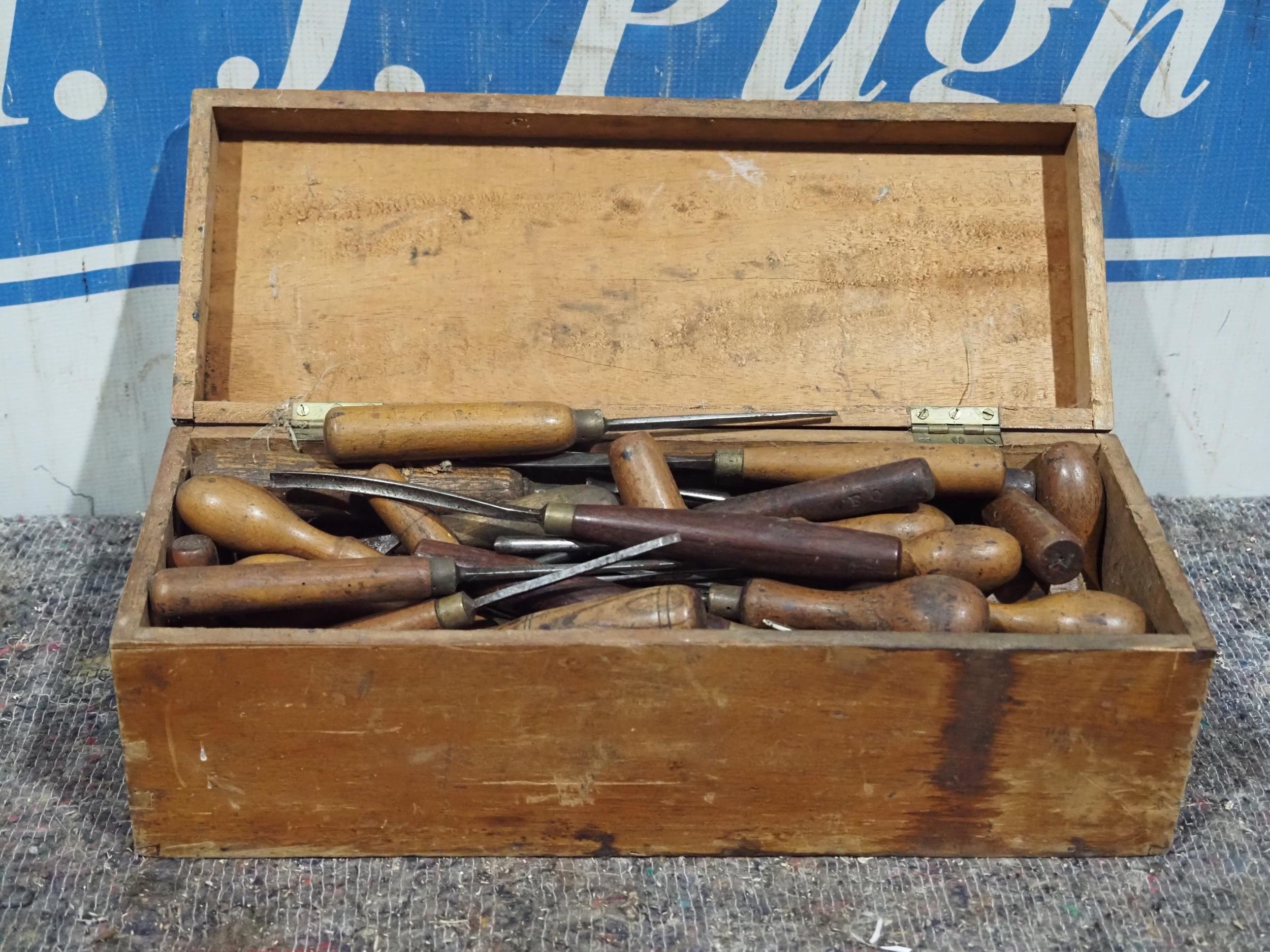 Box of gouges and chisels