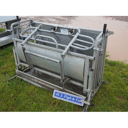 Galvanised sheep turnover crate
