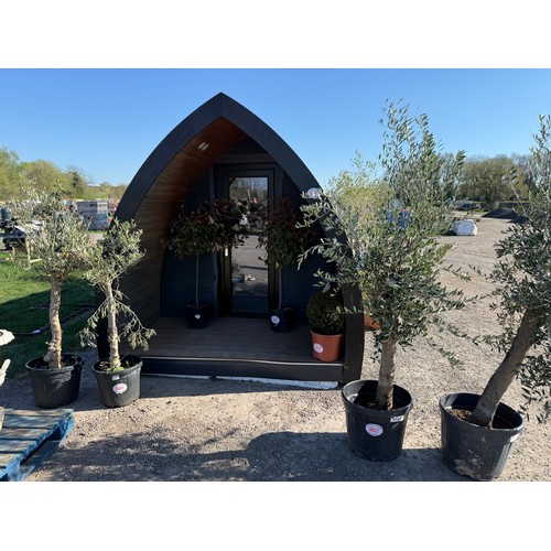 Wishbone glamping pod 18ft with covered veranda, UPVc door and window ...