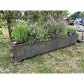 Cast iron trough filled with Lavender. 8ft