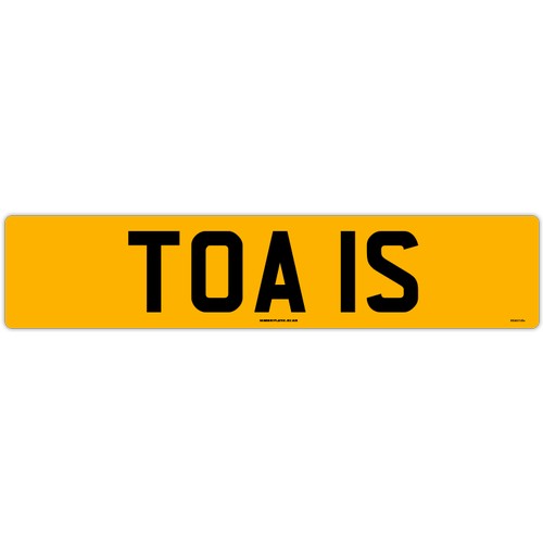 Number plate on retention - TOA 1S
