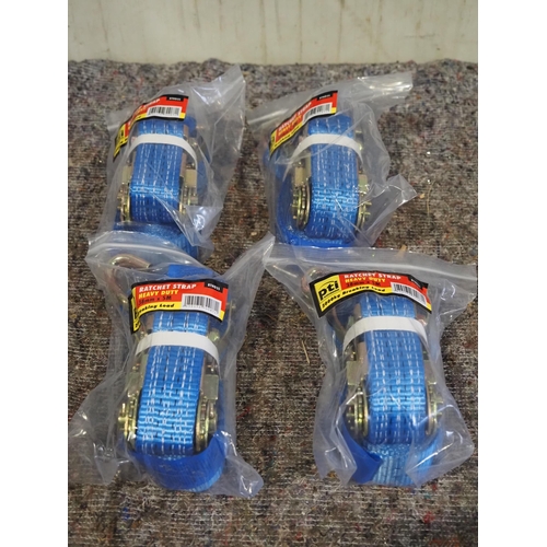 Lorry straps 5m x 2 ton - 4