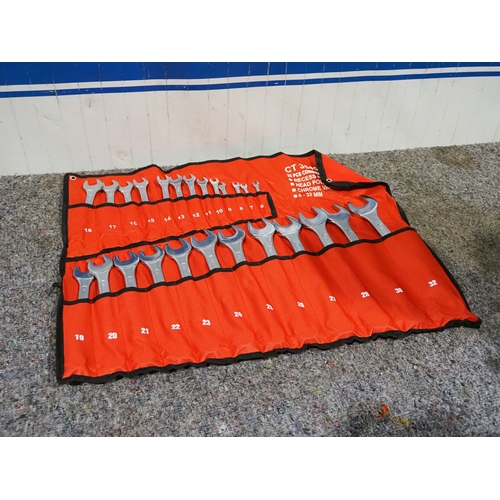 25 Piece metric spanner set