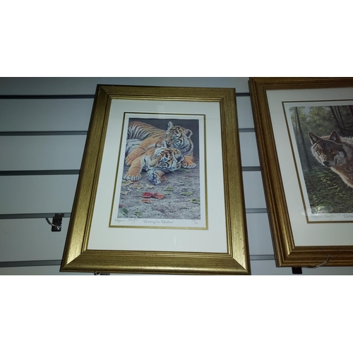 4 Framed Limited Edition Prints Signed Stephen Gayford. 'Waiting For ...