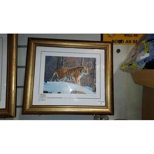 4 Framed Limited Edition Prints Signed Stephen Gayford. 'Waiting For ...