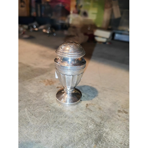 Silver Pepper Pot Weights 30Gms