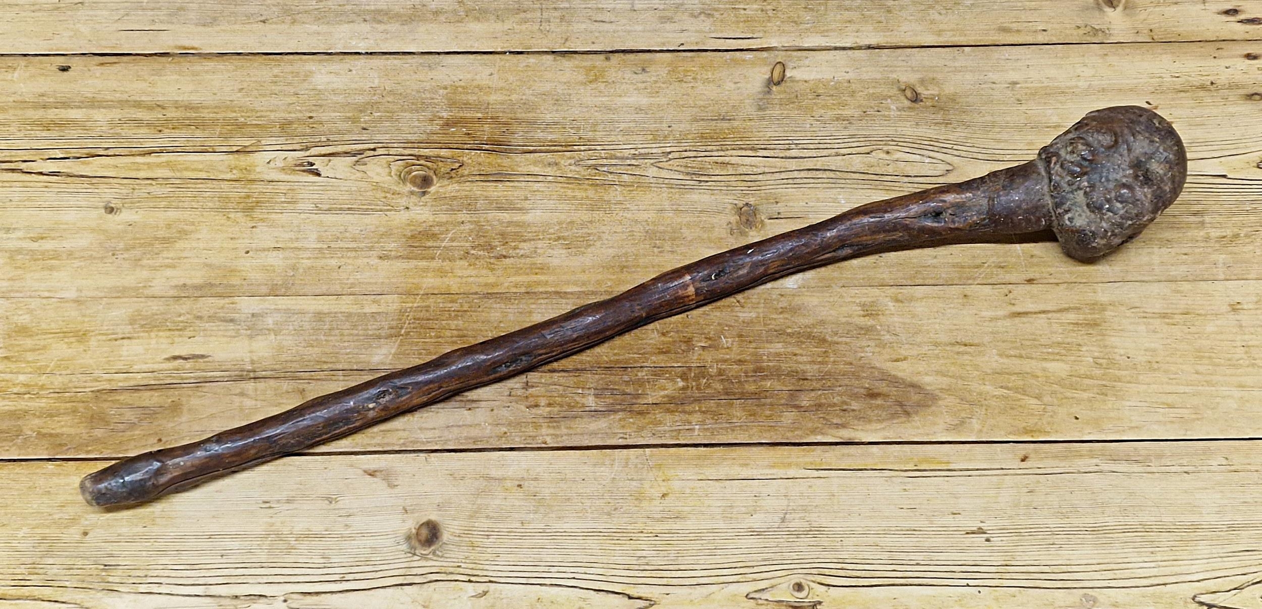 Antique 19th century Irish root ball shillelagh, L 71cm