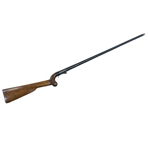 19th century under hammer percussion cap walking stick gun, having ...