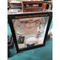 A vintage Ebonised case of Cotton Display by Horrocks