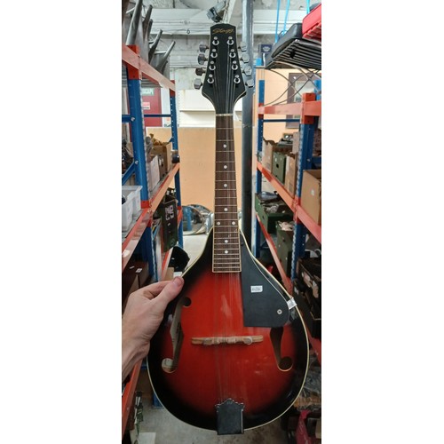 A Stagg mandolin