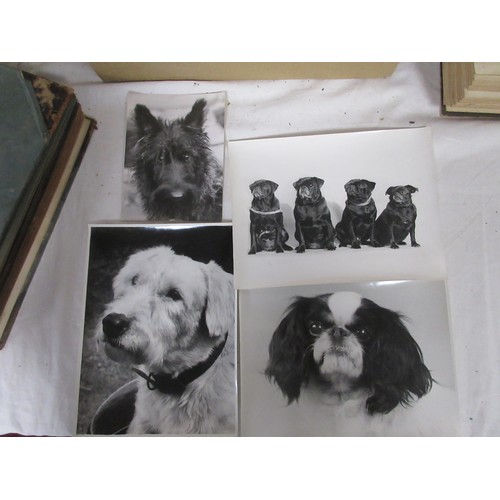 An archive of work by the photographer Donald Frederick Merrett (1889 ...