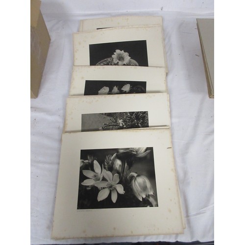 An archive of work by the photographer Donald Frederick Merrett (1889 ...