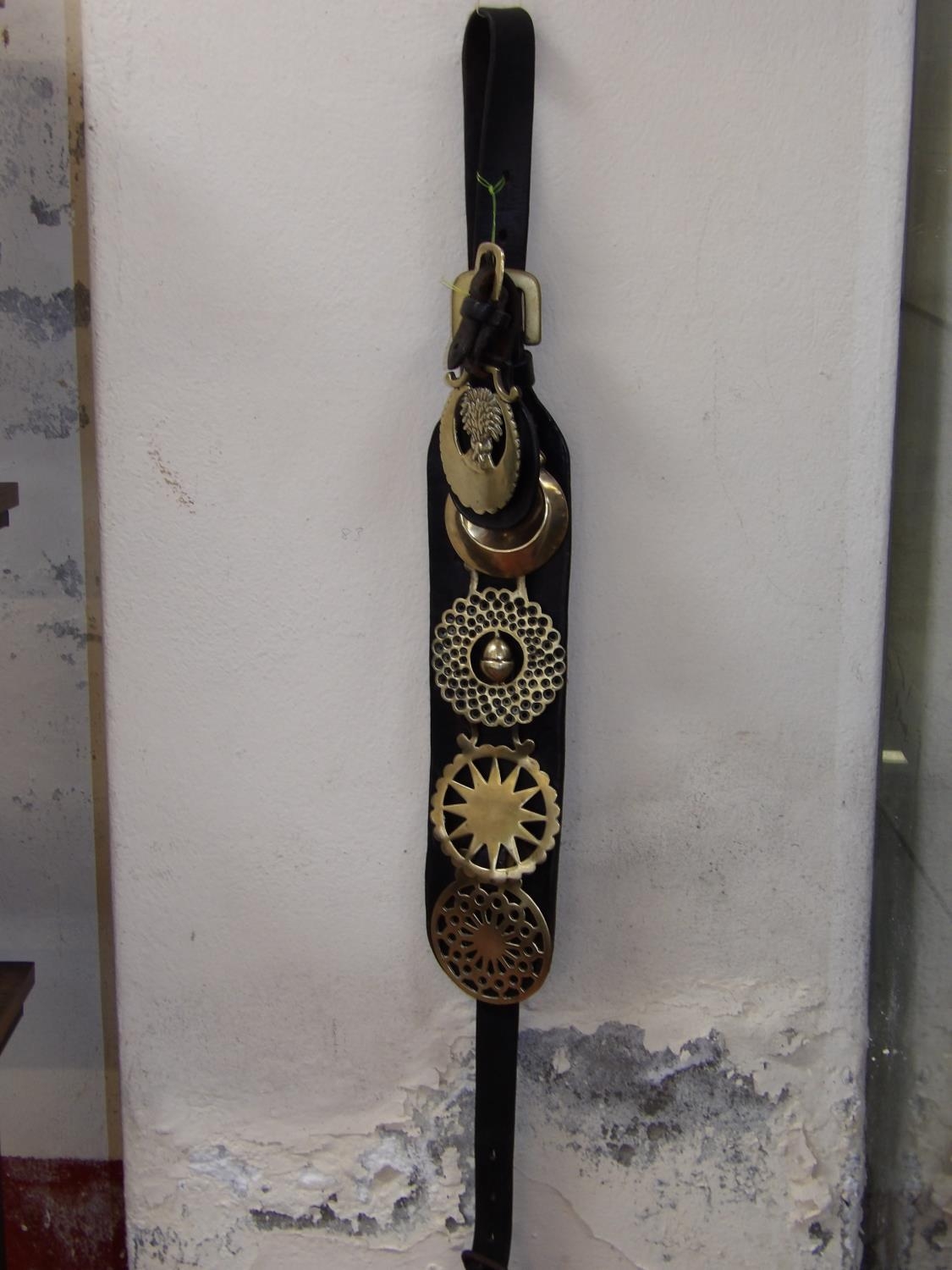 A vintage leather martingale containing four horse brasses together ...