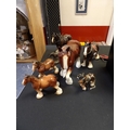 Assorted shire horse models