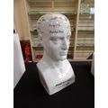 A large glazed ceramic phrenology head by L.N. Fowler