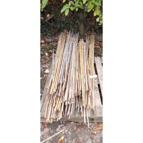 Several bundles of bamboo