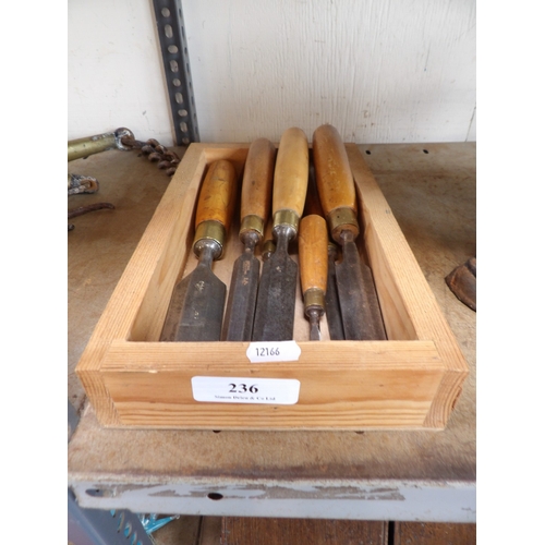 A set of carpentry wood working chisels