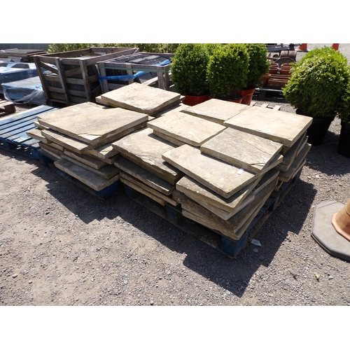 Two pallets of Natural Stone paving