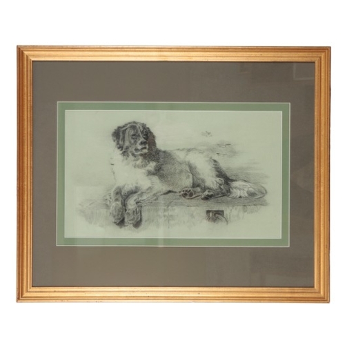 EDWIN HENRY LANDSEER (1802-1873) 'A Distinguished Member of the Humane Society' 19th century, charc