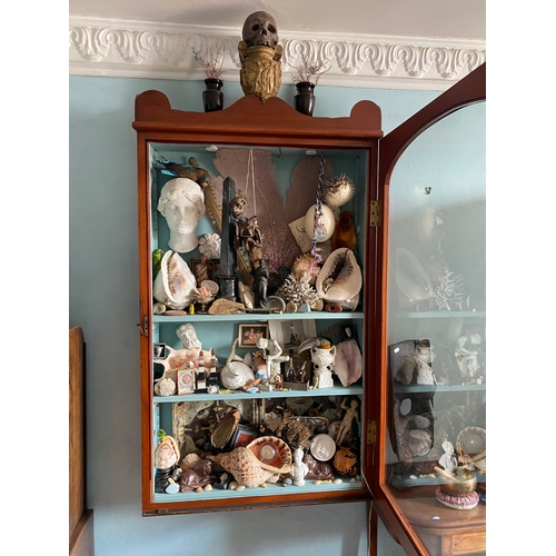 A CABINET OF CURIOSITIES the mahogany glazed front cabinet containing ...
