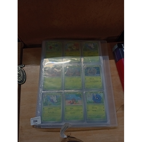 Pokémon cards folder - 500 cards