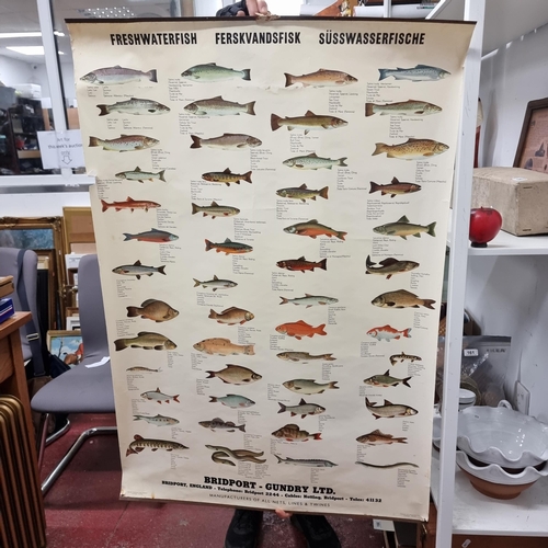 A very large vintage poster illustrating different types of fresh water ...