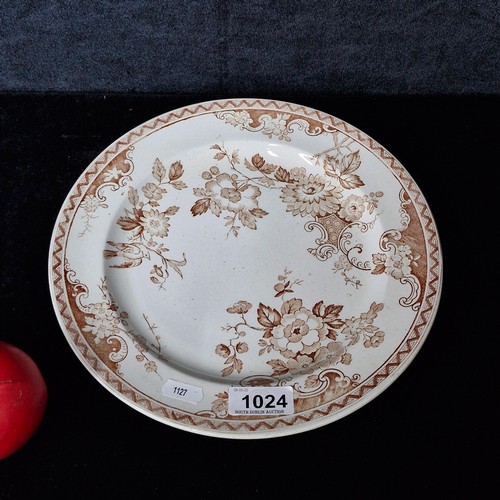 An amazing first black stamp antique 'Belleek' Japanese Blossom Plate ...