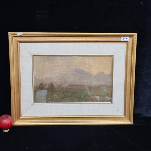 Star Lot: An original oil on canvas painting. Features a serene ...